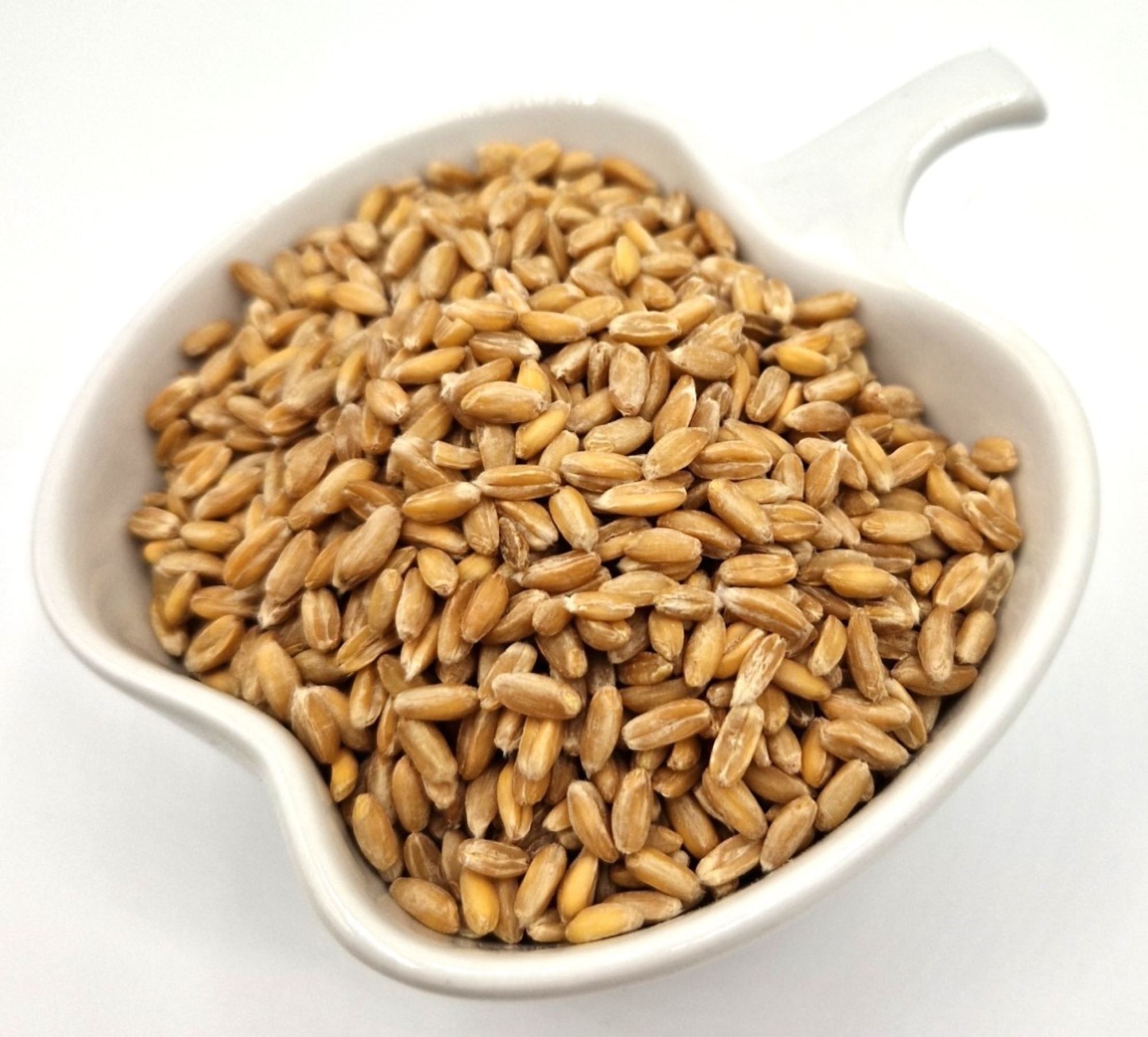 Organic Spelt Grain — Thames Organic